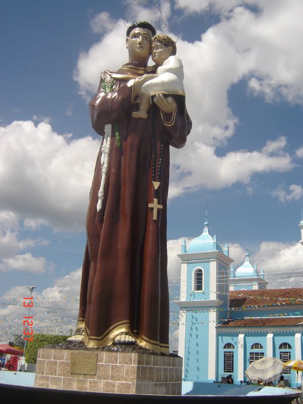 Borba :: Portalriomadeira